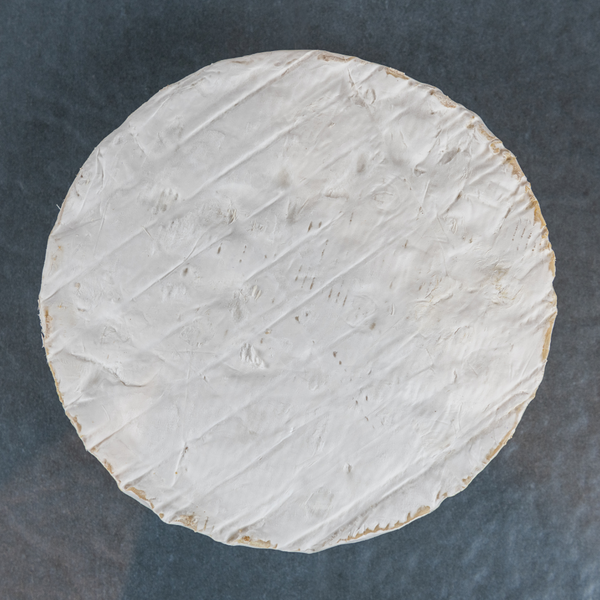 Cornish brie – The Big Cheese Company